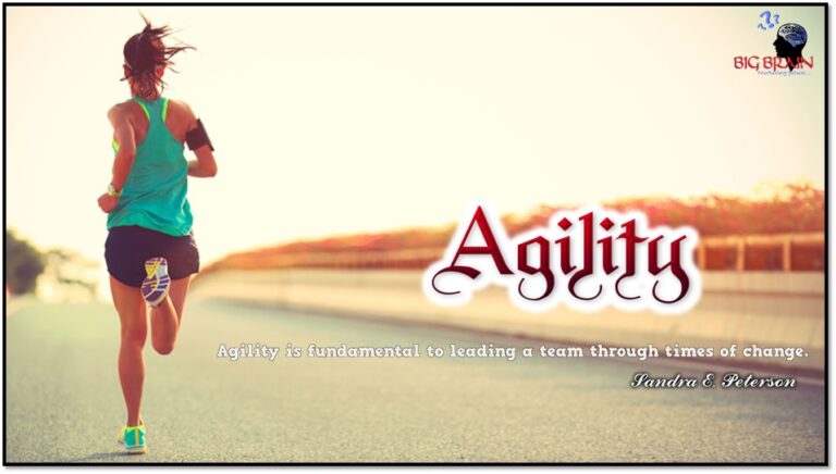 Agility: A Detailed Overview